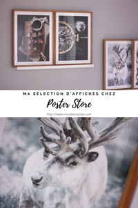 Ma sélection Poster Store - Nous les Nanas